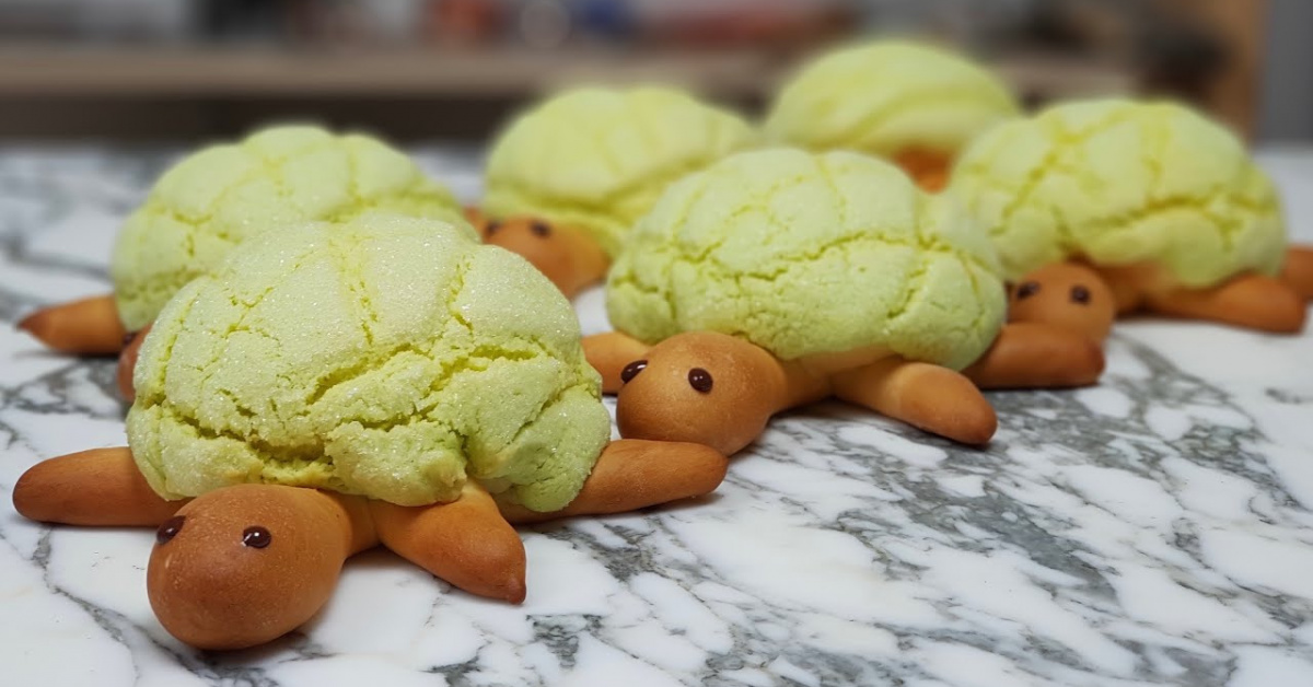 Making turtle melon bread